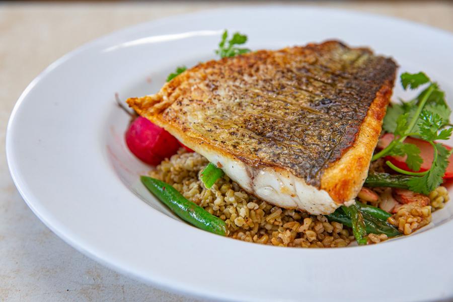 Fish Entrees | Dairy on the go